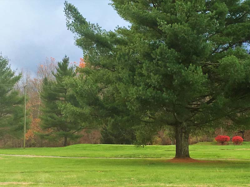 Gallery - View Valley Country Club